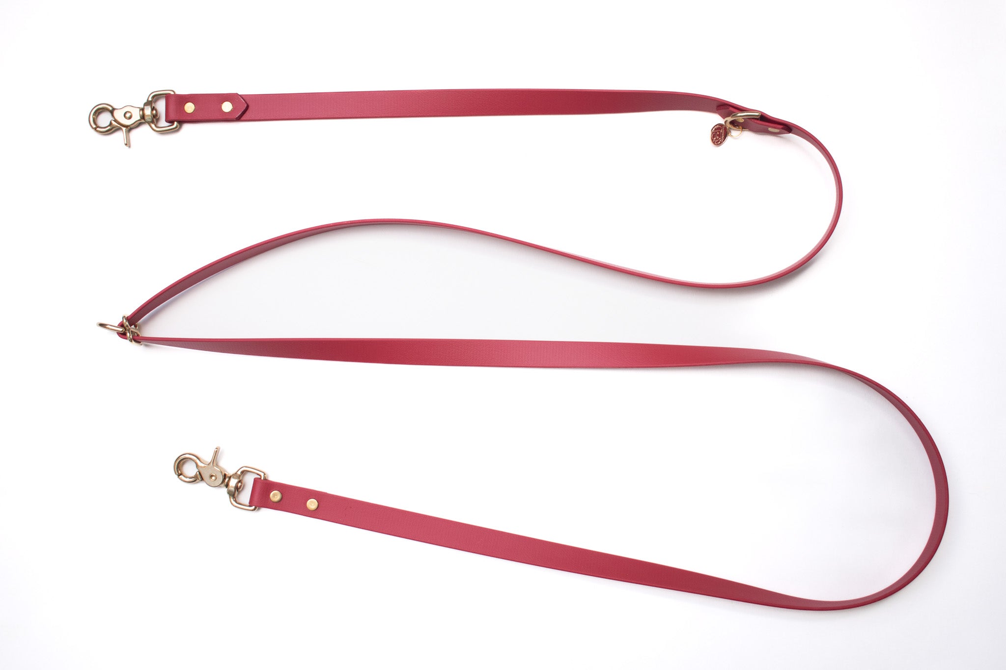 Cookies & Co. | Limited Edition Apple Red Hands-Free Dog Leash – The ...