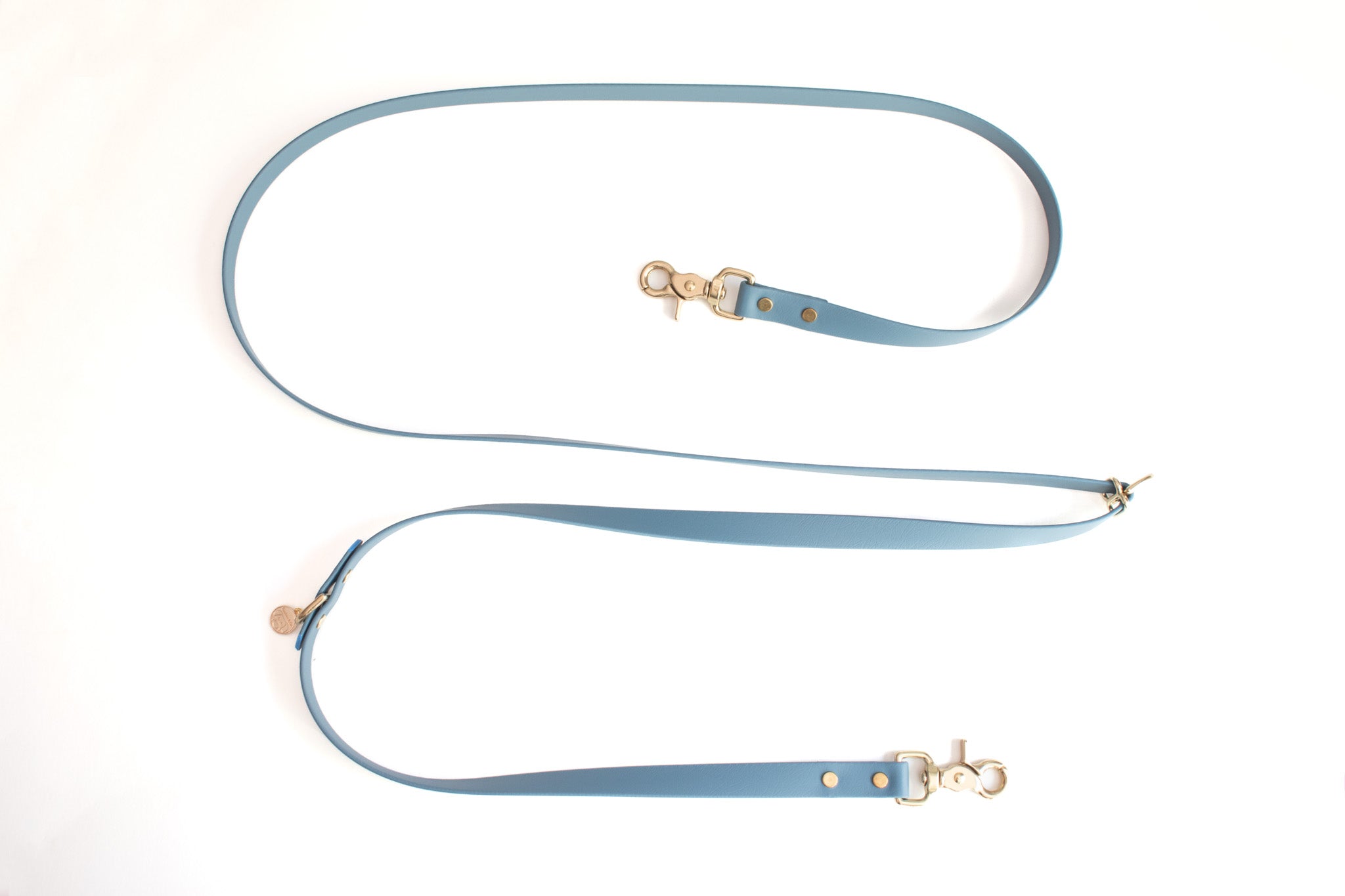 Cookies & Co. | Limited Edition Glacier Hands-Free Dog Leash – The ...